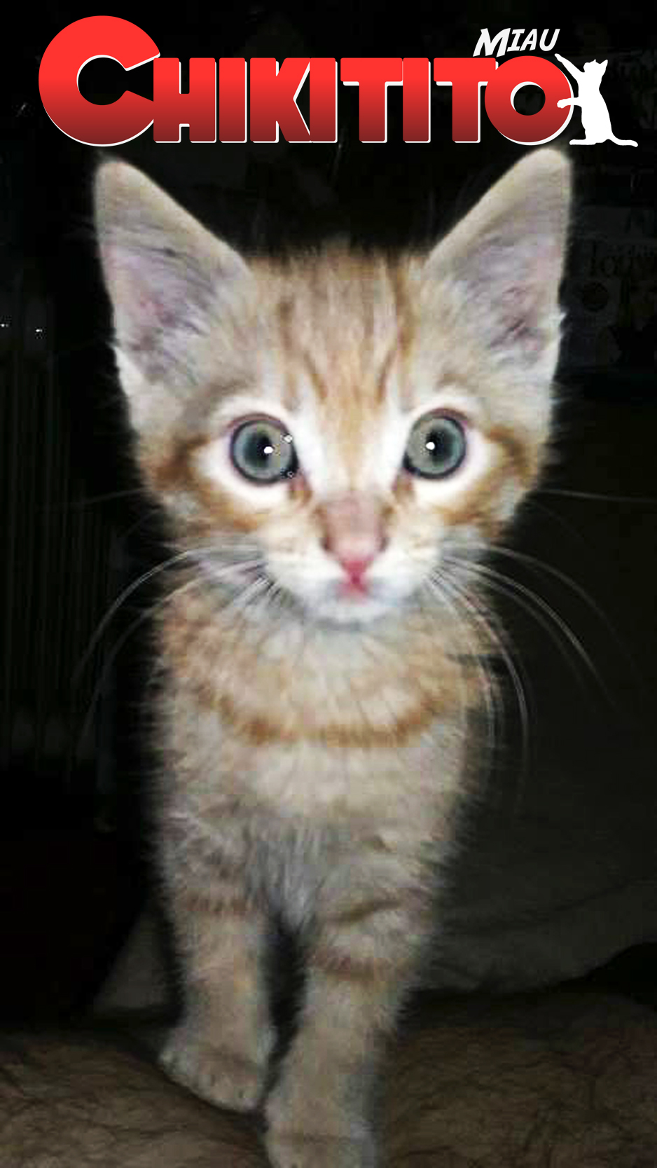 CHIKITITO - MAGIC IMAGE ENTERTAINMENT