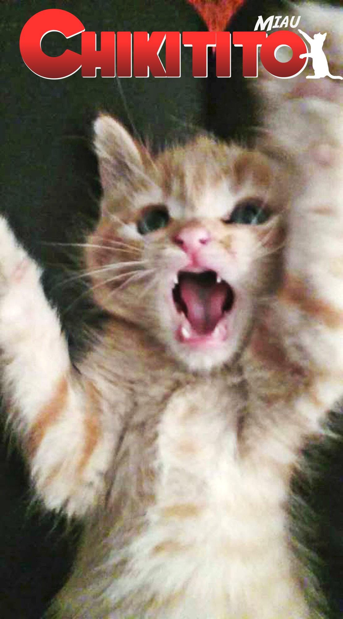 CHIKITITO - MAGIC IMAGE ENTERTAINMENT